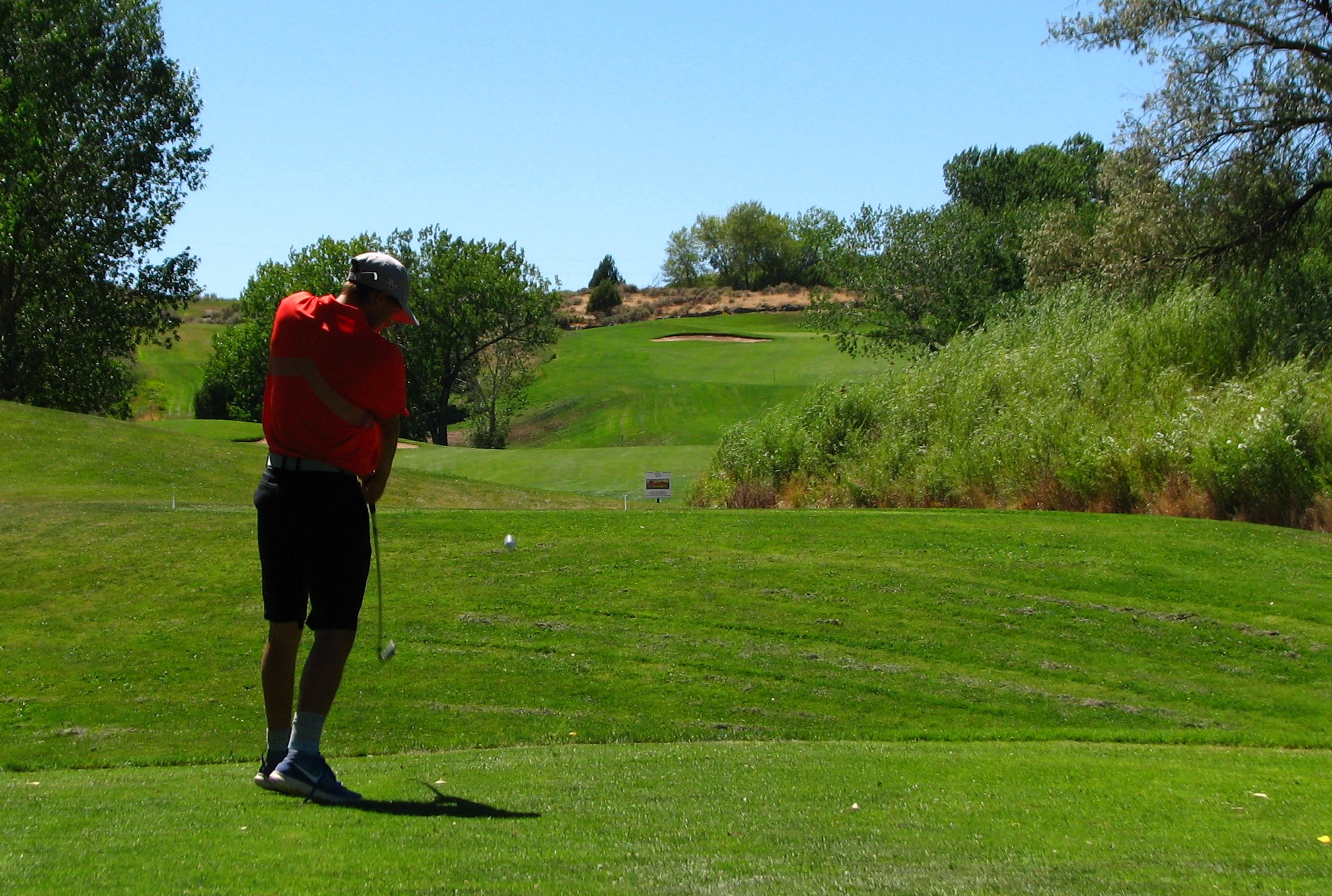 PHOTO GALLERY: Buena Vista opens golf season at Cedaredge | Heart of ...