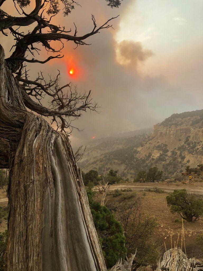Interactive Decker Fire Map Released