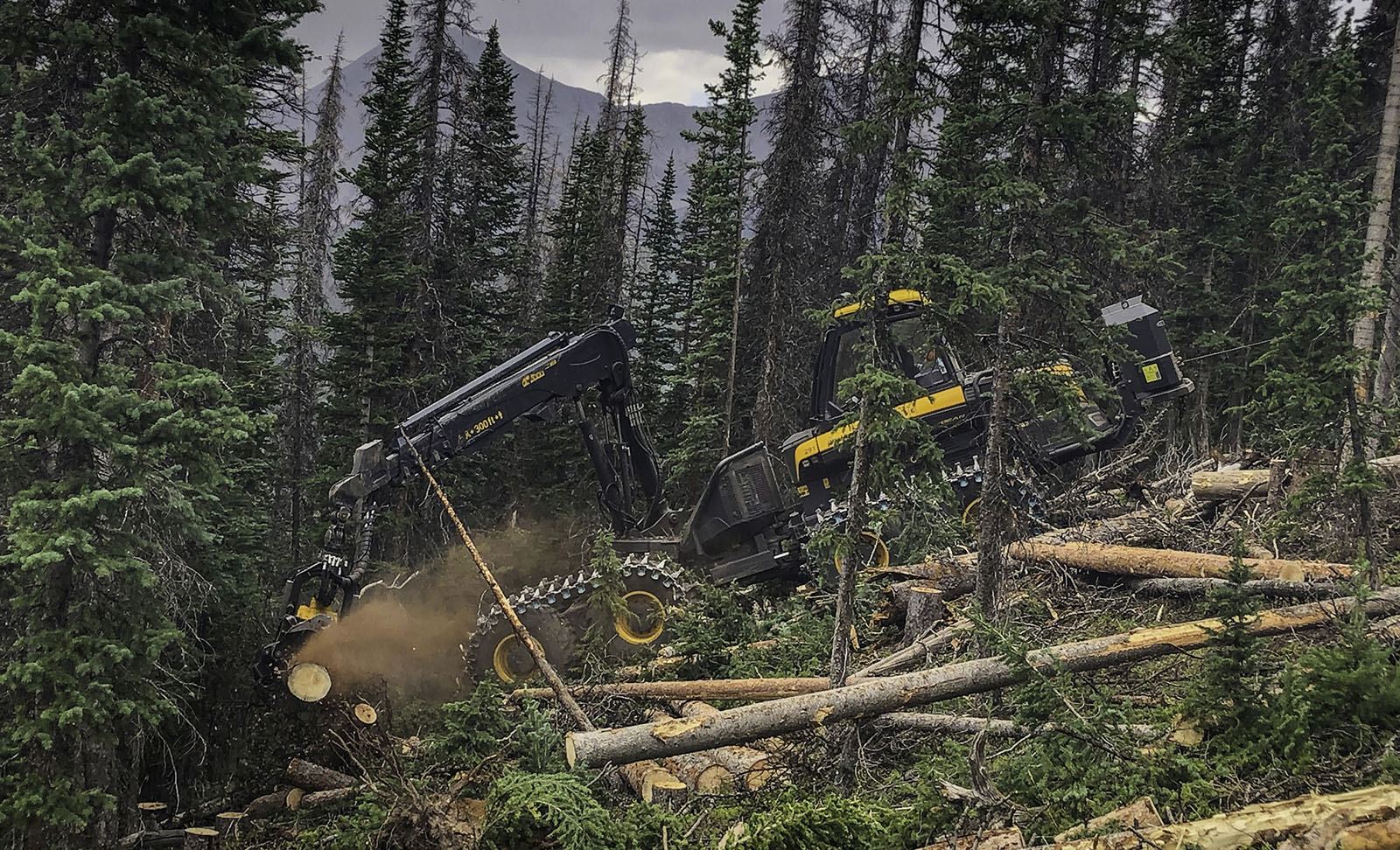 Making a Difference at Monarch Pass | Heart of the Rockies Radio