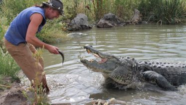 Colorado Gator Farm is Trying to Rebuild With Tooth Auction