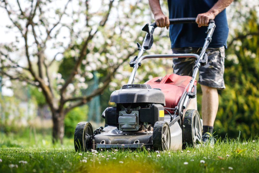 New Colorado Air Quality Regulation Could Ban Gas-Powered Chainsaws and ...