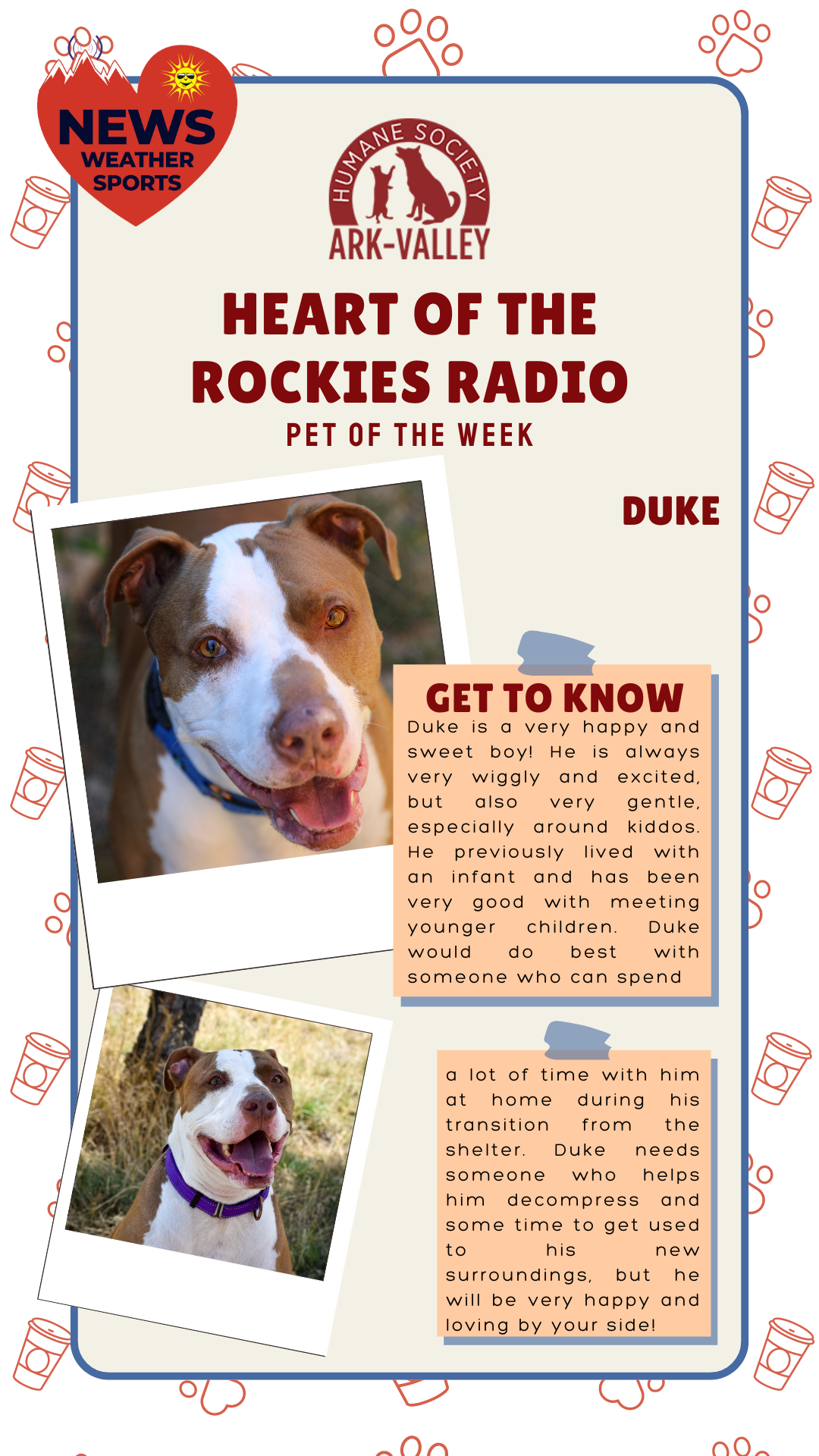 Meet Duke – Heart of the Rockies Radio Pet of the Week! | Heart of the ...