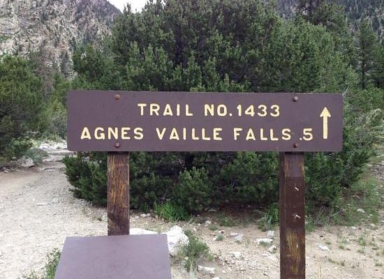 The Chaffee County Sheriff’s Department is Reporting the Death of a ...